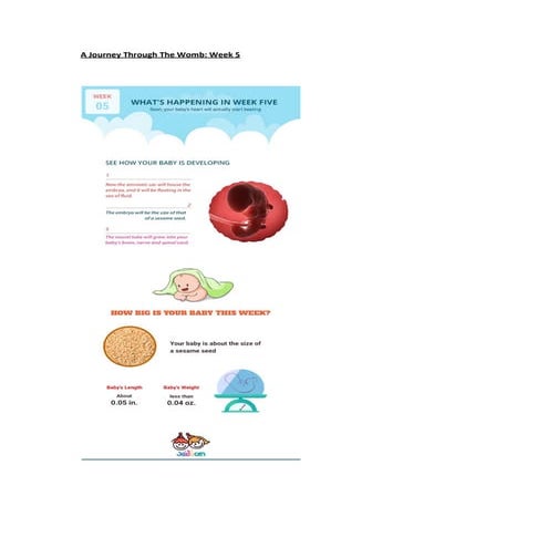 5 Weeks Pregnant: What to Expect | Pregnancy Week By Week | ODP