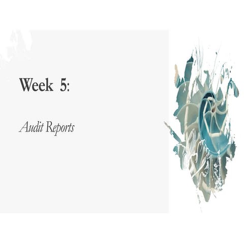 ISA: 705-Revised | PDF