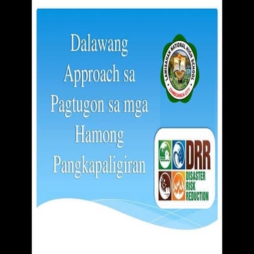 DRRM APPROACH.pptx