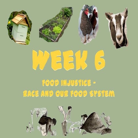 Week 6 - Food Injustice | PPTX