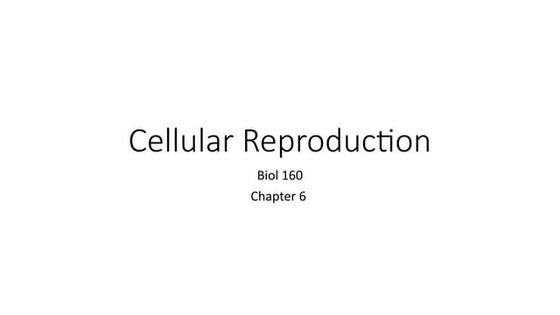 cell biology Intro.pptx
