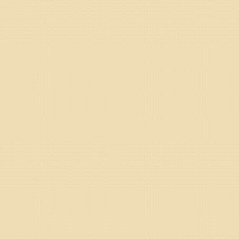 Week 7-P2-Pasta.pptx