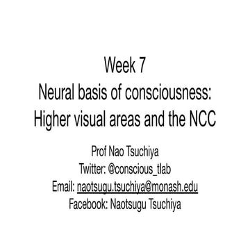 Week 7 the neural basis of consciousness: higher visual areas and the ...