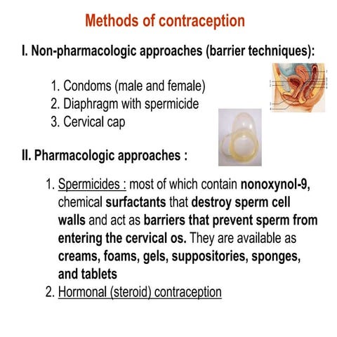 Week 7 objective | PPT