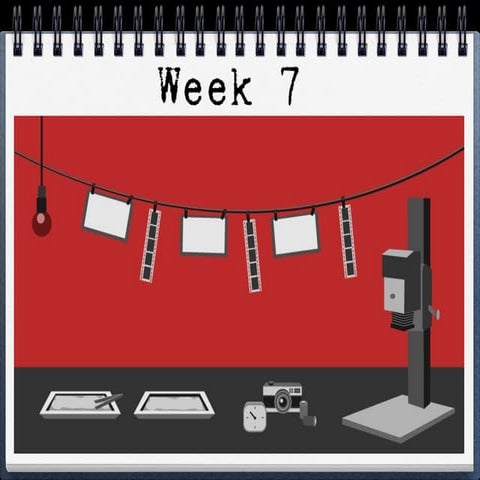 Photograms and darkroom procedure | PPT