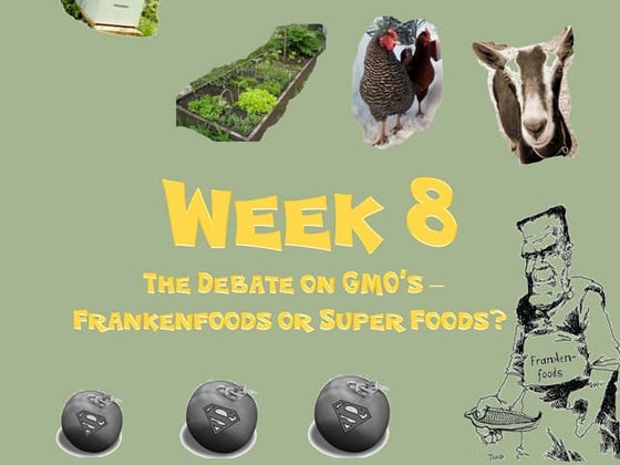 TERMINATOR SEED TECHNOLOGY | PPT