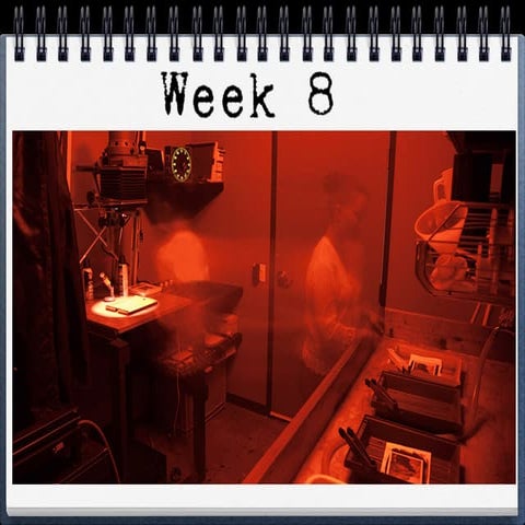 Week 8 photo | PPT