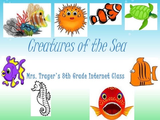 Sea Creatures Presentation | PPT