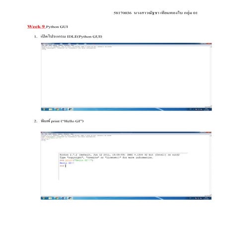 Introduce Python | DOCX