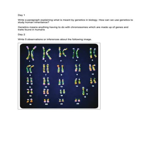 Week five warm ups | DOC