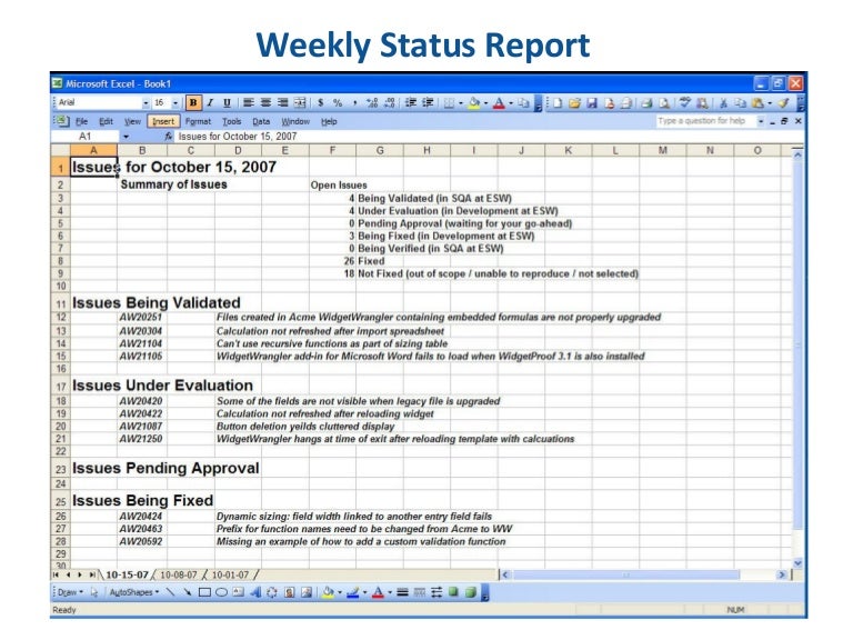 Essential Software Inc Weekly Status Report essential-software-inc-weekly-status-report