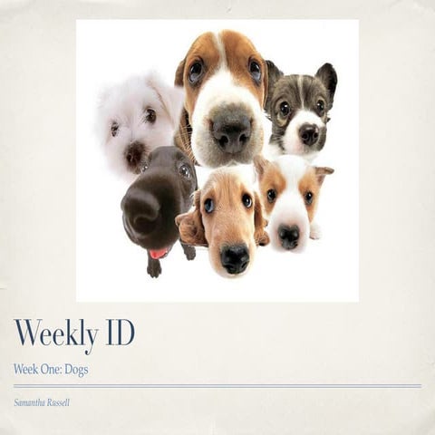 Week One: Dogs | PDF