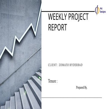 Client_Weekly Project Report update.pptx