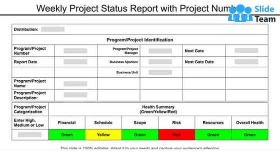 Monthly Project Summary One Pager Report Presentation Report ...
