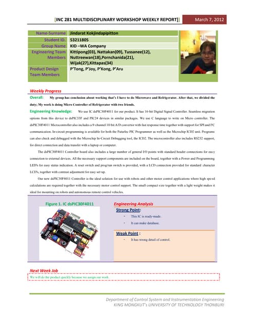 Weekly report template (2) | PDF