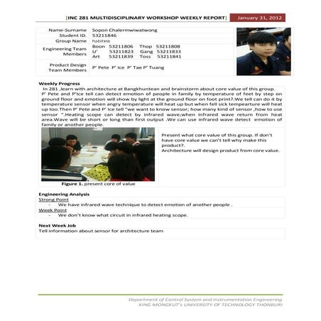 Weekly report template 5 | PDF