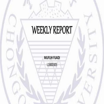 Weekly report 4 | PPTX