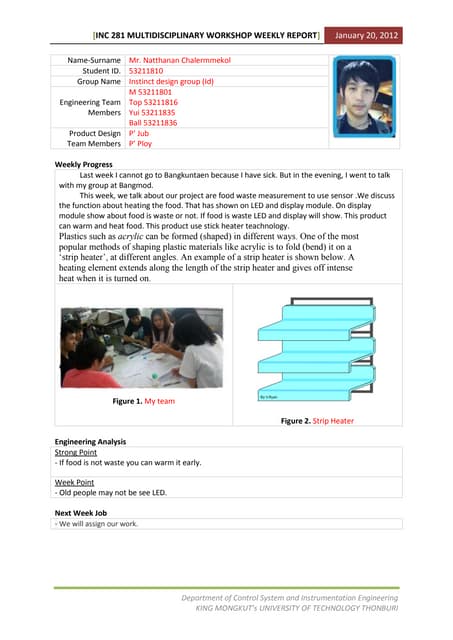 Weekly report template 5 | PDF