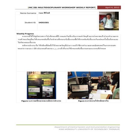 Weekly report template | PDF