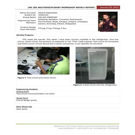 Weekly report template | PDF