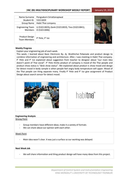 Weekly report template | PDF