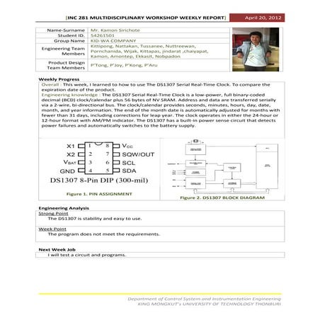 Weekly report template (1) | PDF