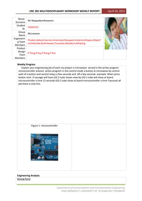 Weekly report template (5) | PDF