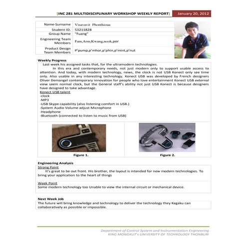 Weekly report template2 | PDF