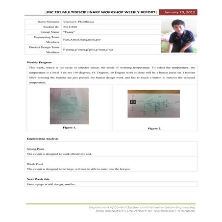 Weekly report template2 | PDF