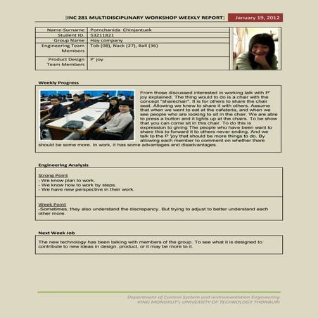 Weekly report template (21A) | PDF