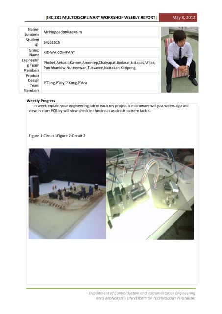 Weekly report template | PDF