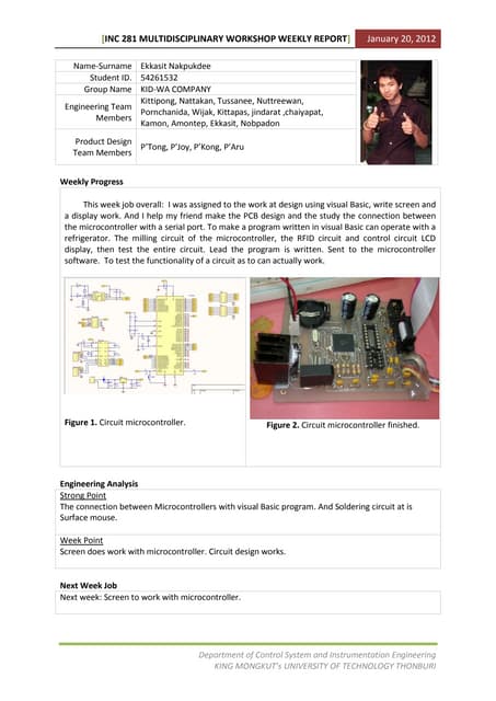 Weekly report template | PDF