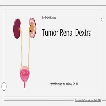 weekly BEDAH urology_tu renal dextra[1].pptx