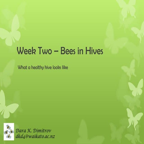 Week two – Honey Bees in Bee Hives | PPTX