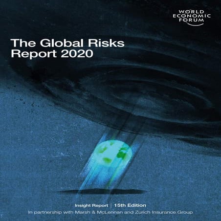 Wef global risk_report_2020 | PDF