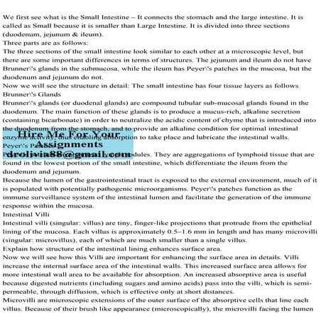 We first see what is the Small Intestine – It connects the stomach a.pdf