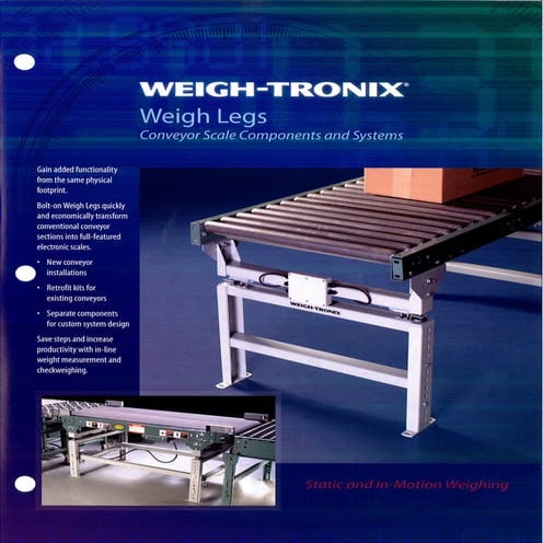 Cw 80 Checkweigher Brochure | PDF