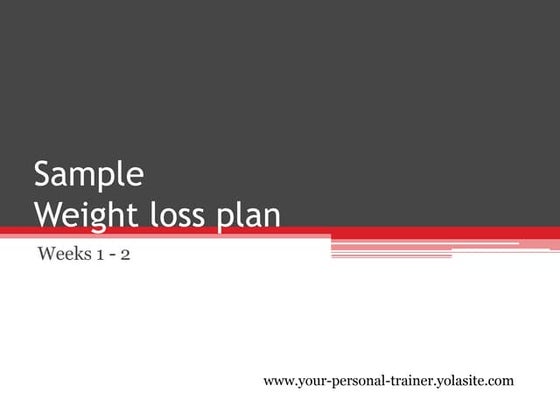 Weight loss program | PDF