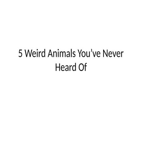Weird_Animals.pptxidkmanhahahhahahahahsh | PPTX