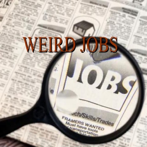 Weird jobs | PPT
