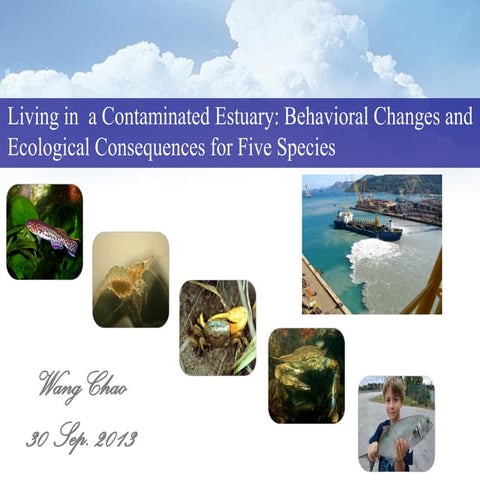 Living in a contaminated estuary - behavioral changes and ecological ...