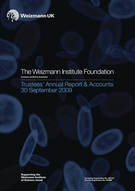 Brendan Wenzel Design&Animation | PDF