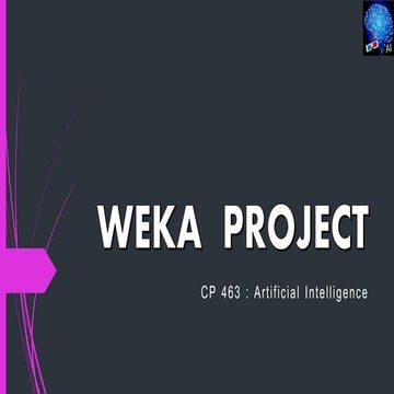 Weka Project (AI Class) | PPT