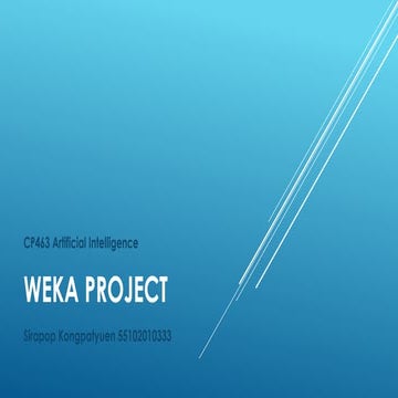 Weka project 333 | PPTX