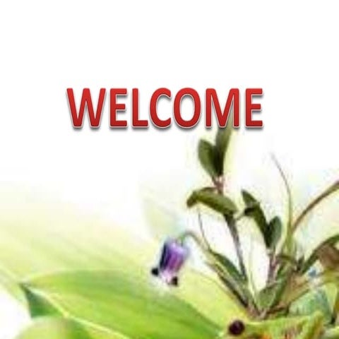 Welcome | PPT
