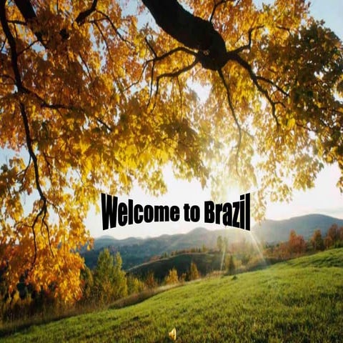 Welcome To Brazil | PPT | Science