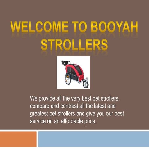 Welcome to booyah strollers | PPTX