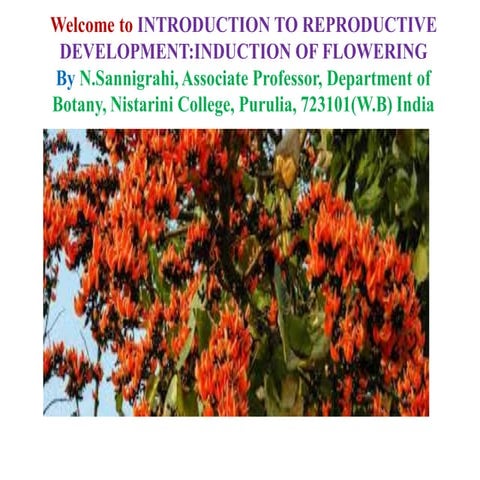 Welcome to introduction to reproductive development (induction of ...
