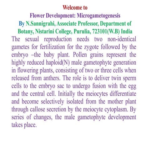 Pollen germination under microscope | PPTX