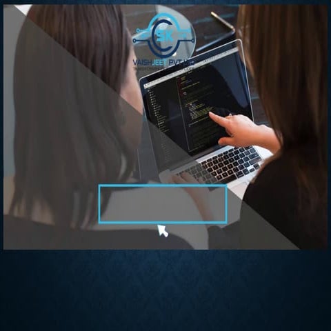 Welcome to Vaishjeet Pvt Ltd - Your Trusted Digital Partner! | PPT